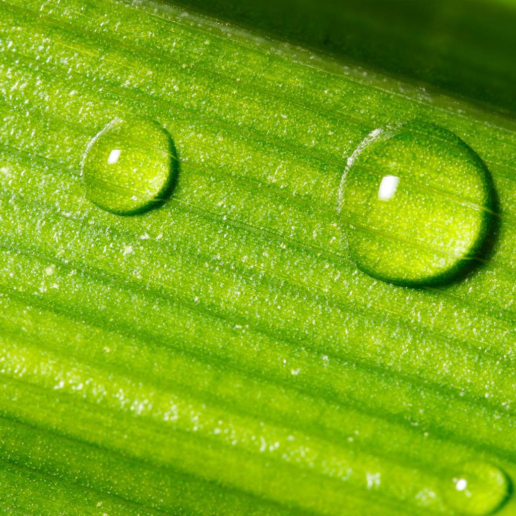 Persistent Chemicals | Position Statement | Chemical Industries Association