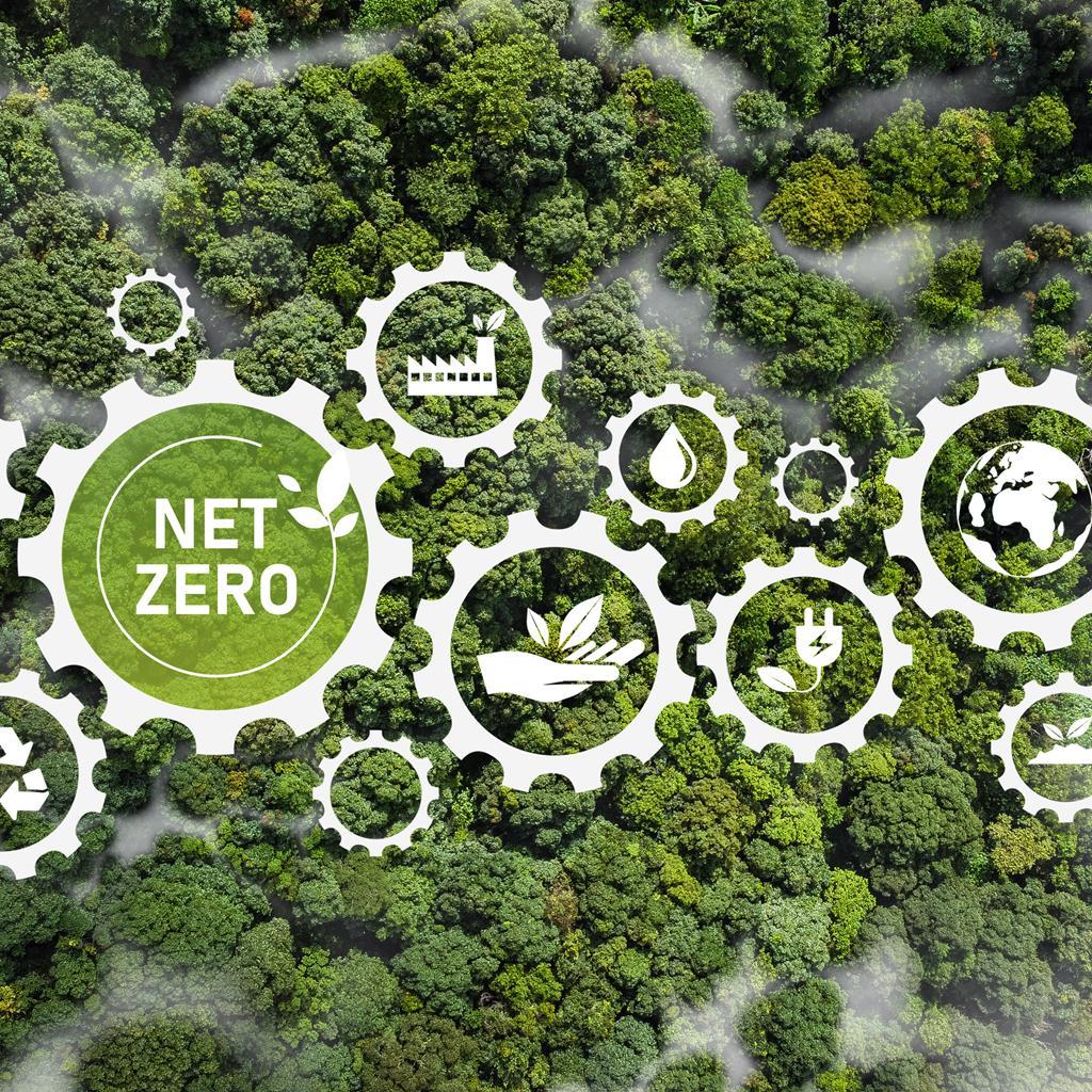 Accelerating Britain’s Net Zero Economy the chemical industry | Report ...