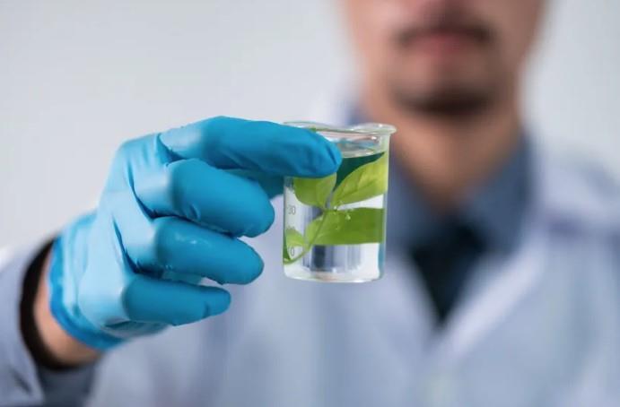 Establishing the environmental impact of chemical products | Report ...