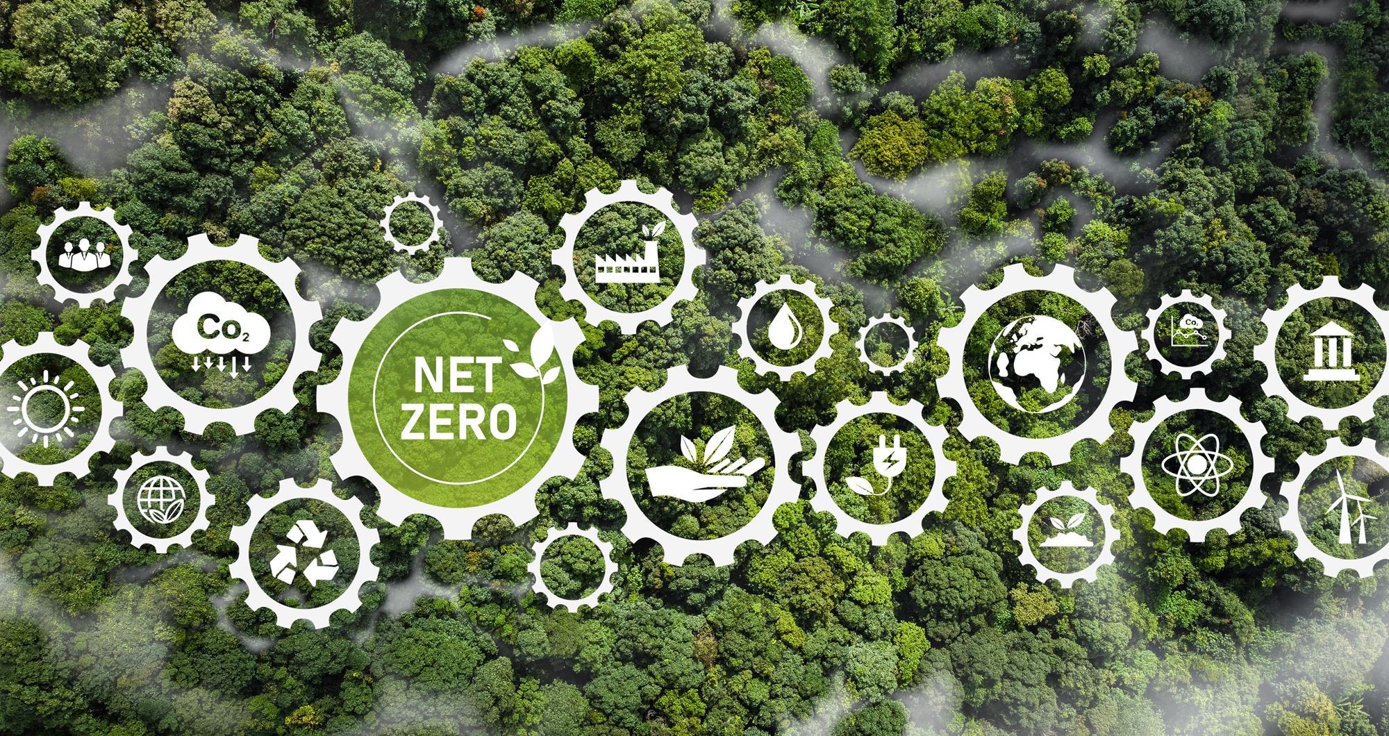 Accelerating Britain’s Net Zero Economy the chemical industry | Report ...