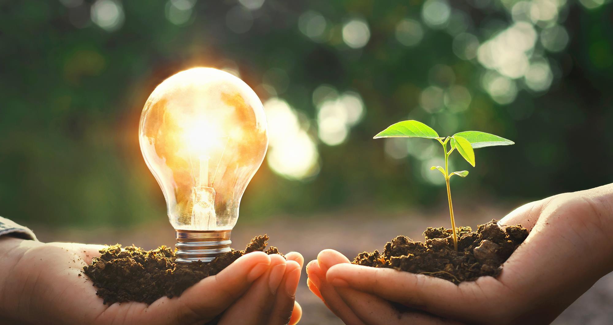 Sustainable growth and innovation | Article | Chemical Industries ...